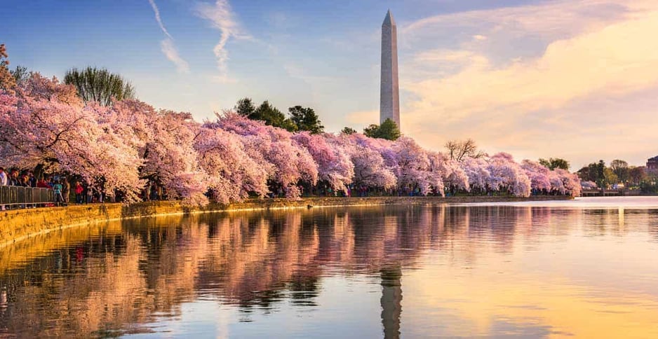 9 Ways to Meet Singles in Washington, DC (Dating Guide)