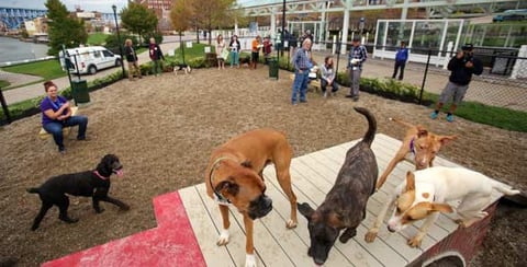 10 Ways to Meet Singles in Cleveland, OH (Dating Guide)