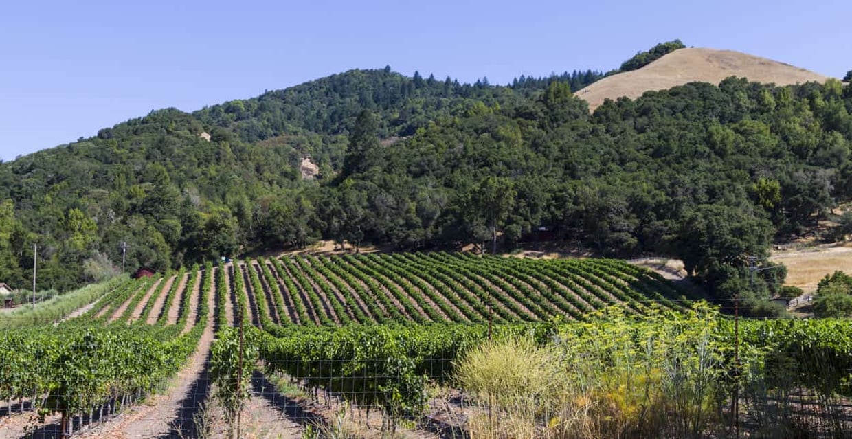 9 Ways to Meet Singles in Santa Rosa, CA (Dating Guide)