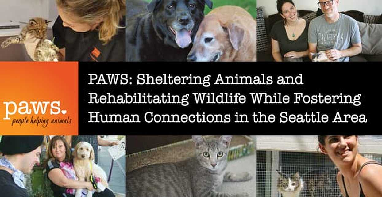 PAWS: Sheltering Animals and Rehabilitating Wildlife While Fostering ...
