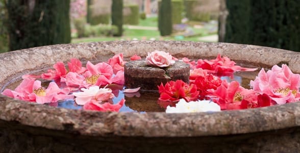 Filoli Historic House & Garden Provides Romantic Opportunities for ...