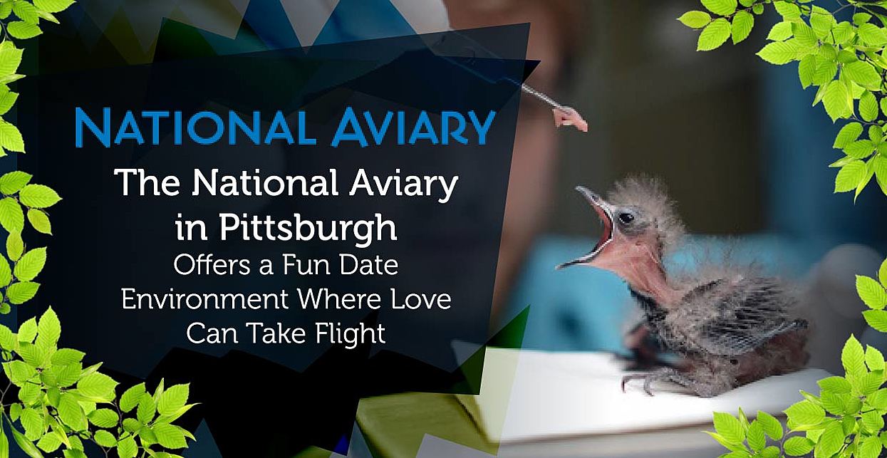 The National Aviary in Pittsburgh Offers a Fun Date Environment Where ...