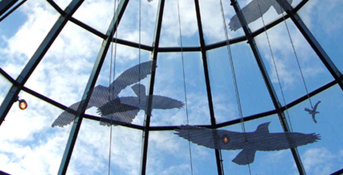 The National Aviary in Pittsburgh Offers a Fun Date Environment Where ...