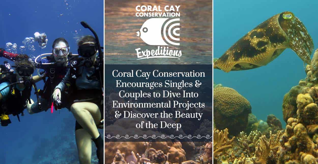 Coral Cay Conservation Encourages Singles & Couples to Dive Into ...