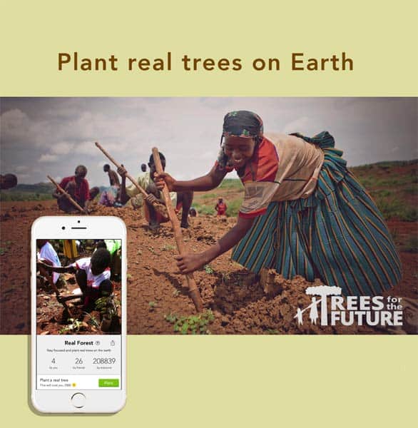 The Forest App Can Help Smartphone Users Grow Their Attention Spans ...