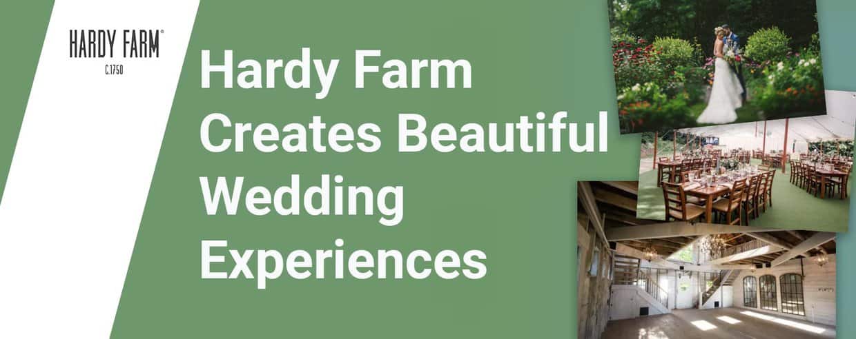 The Wedding Venue Hardy Farm Creates a Beautiful Experience for Couples ...