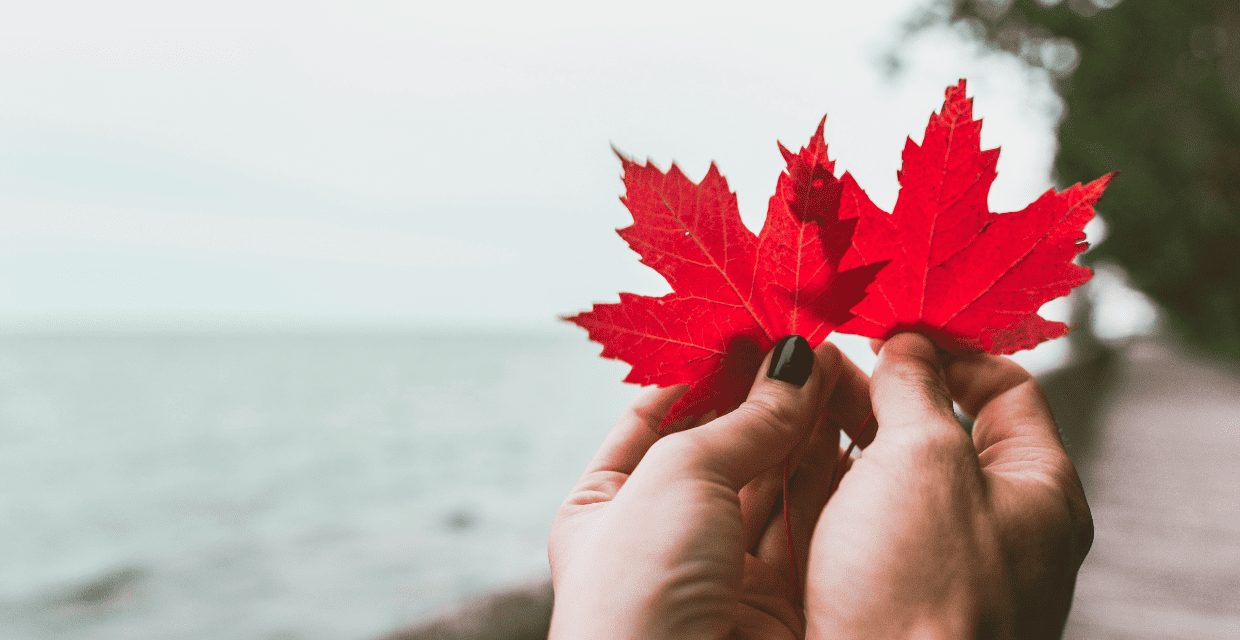 8 Best French Canadian Dating Sites & Apps (Feb. 2026)